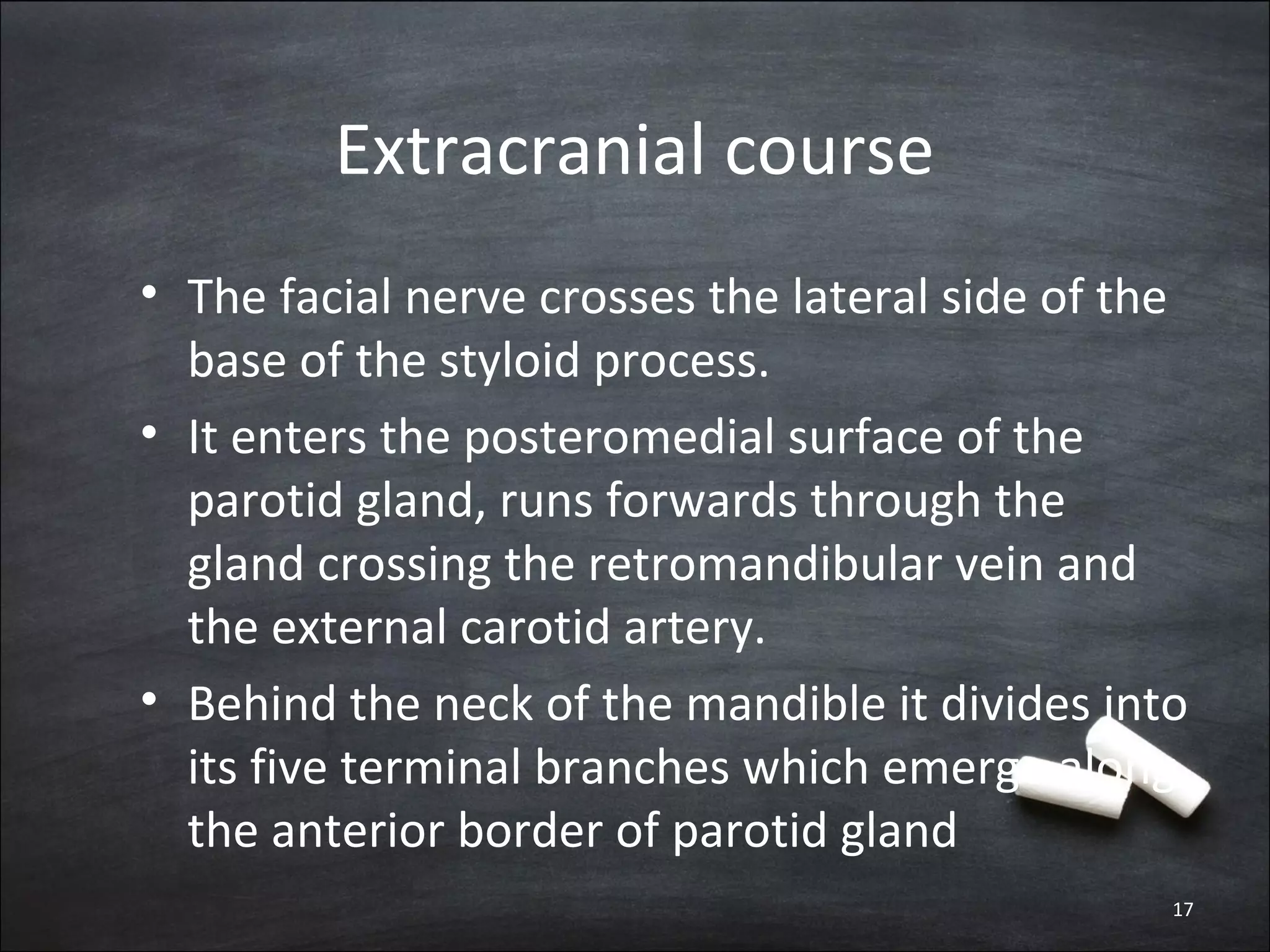Anatomy of facial nerve | PPT