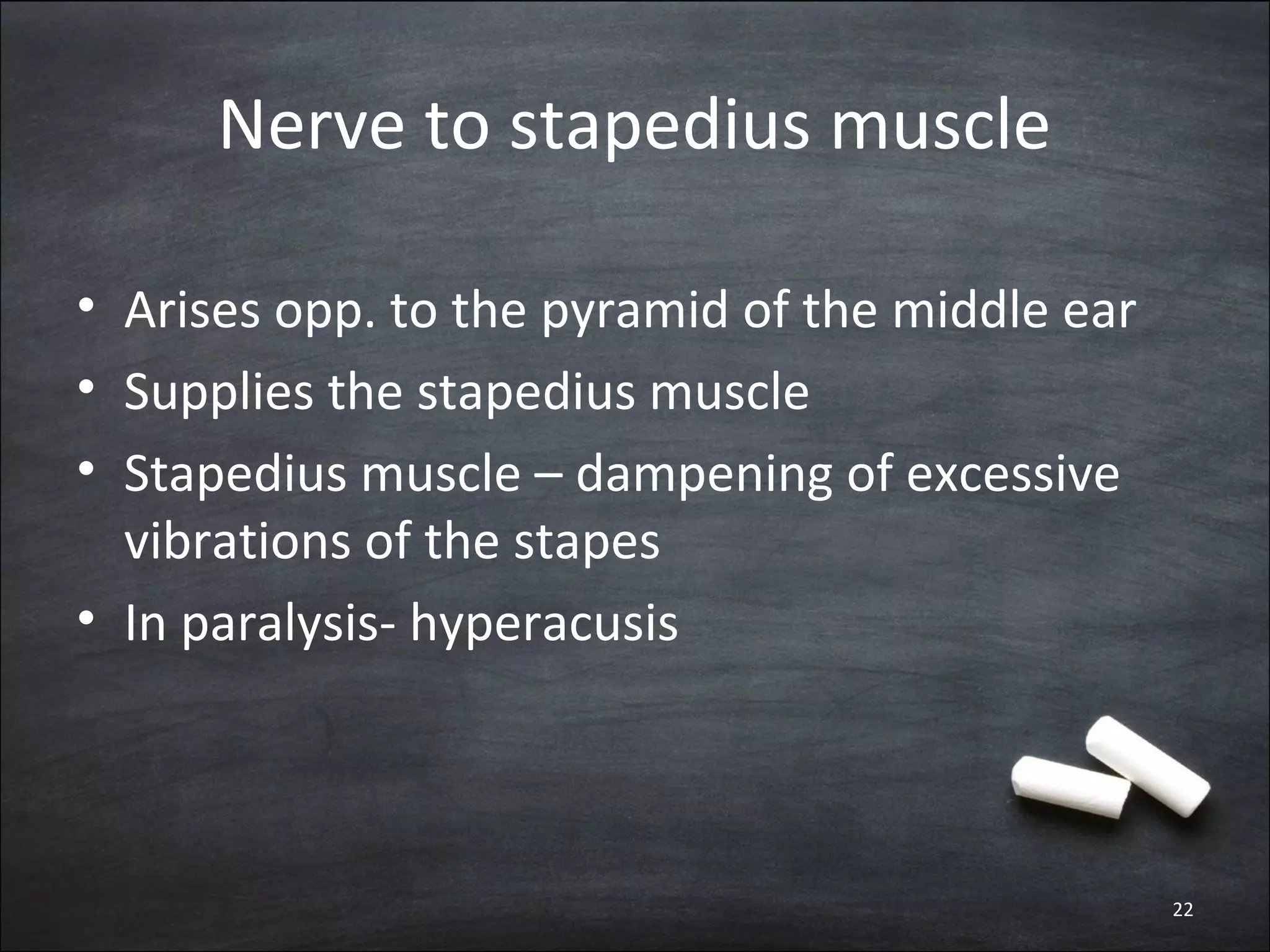 Anatomy of facial nerve | PPT