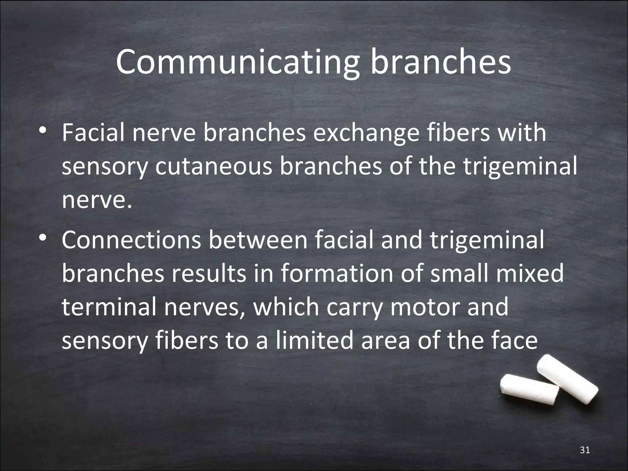 Anatomy of facial nerve | PPT