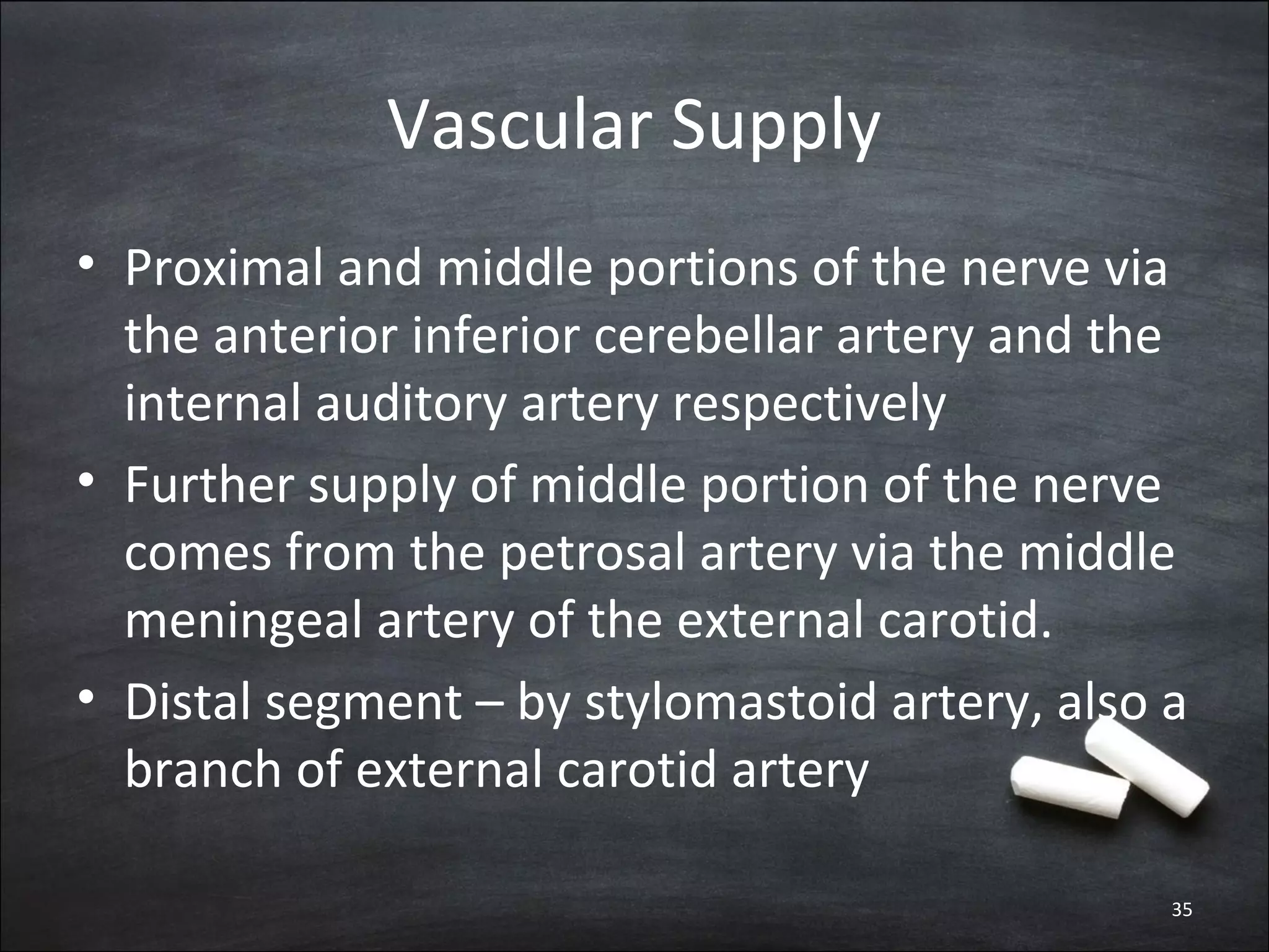 Anatomy of facial nerve | PPT