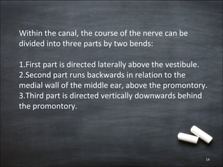Anatomy of facial nerve | PPT