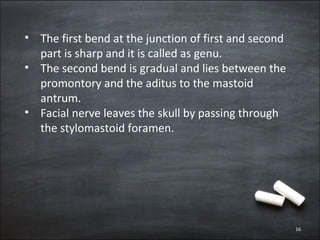 Anatomy of facial nerve | PPT