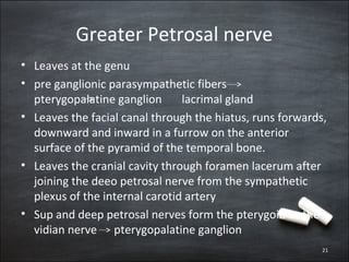 Anatomy of facial nerve | PPT