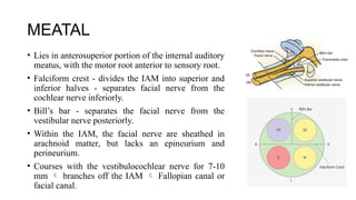 ANATOMY OF FACIAL NERVE PGIMERCHD PPT.pptx