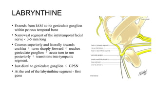 ANATOMY OF FACIAL NERVE PGIMERCHD PPT.pptx