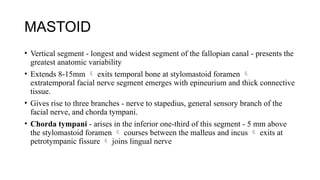 ANATOMY OF FACIAL NERVE PGIMERCHD PPT.pptx