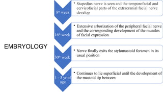 ANATOMY OF FACIAL NERVE PGIMERCHD PPT.pptx