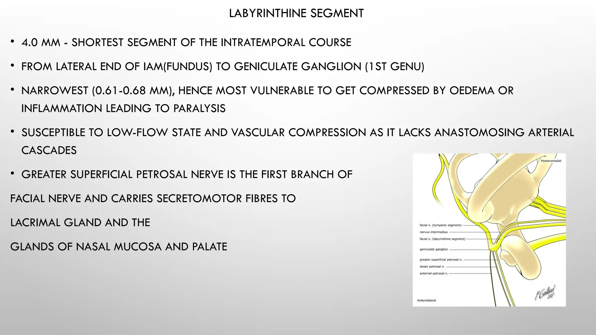 ANATOMY OF FACIAL NERVE 7th cranial nerve.pptx