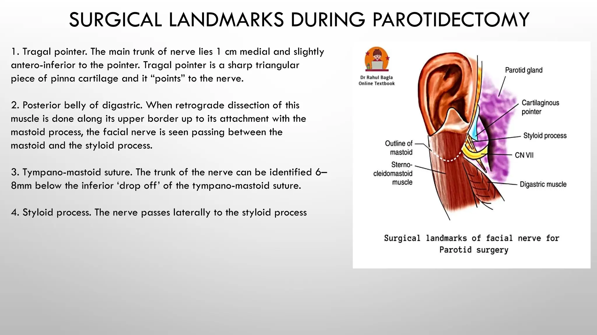ANATOMY OF FACIAL NERVE 7th cranial nerve.pptx