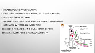ANATOMY OF FACIAL NERVE 7th cranial nerve.pptx