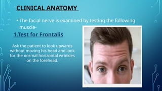 Anatomy of facial nerve-sadia [Autosaved].pptx