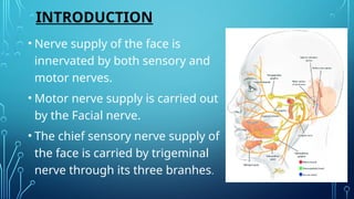 Anatomy of facial nerve-sadia [Autosaved].pptx