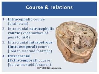 ANATOMY OF FACIAL NERVE AND IT'S APPLIED ASPECTS - Prof.DrN.Mugunthan ...