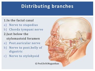 ANATOMY OF FACIAL NERVE AND IT'S APPLIED ASPECTS - Prof.DrN.Mugunthan ...