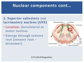 ANATOMY OF FACIAL NERVE AND IT'S APPLIED ASPECTS - Prof.DrN.Mugunthan ...