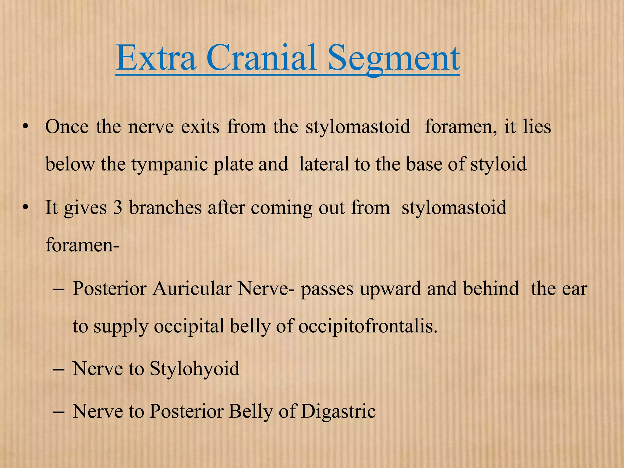 anatomy of facial nerve by tejpl singh.pptx