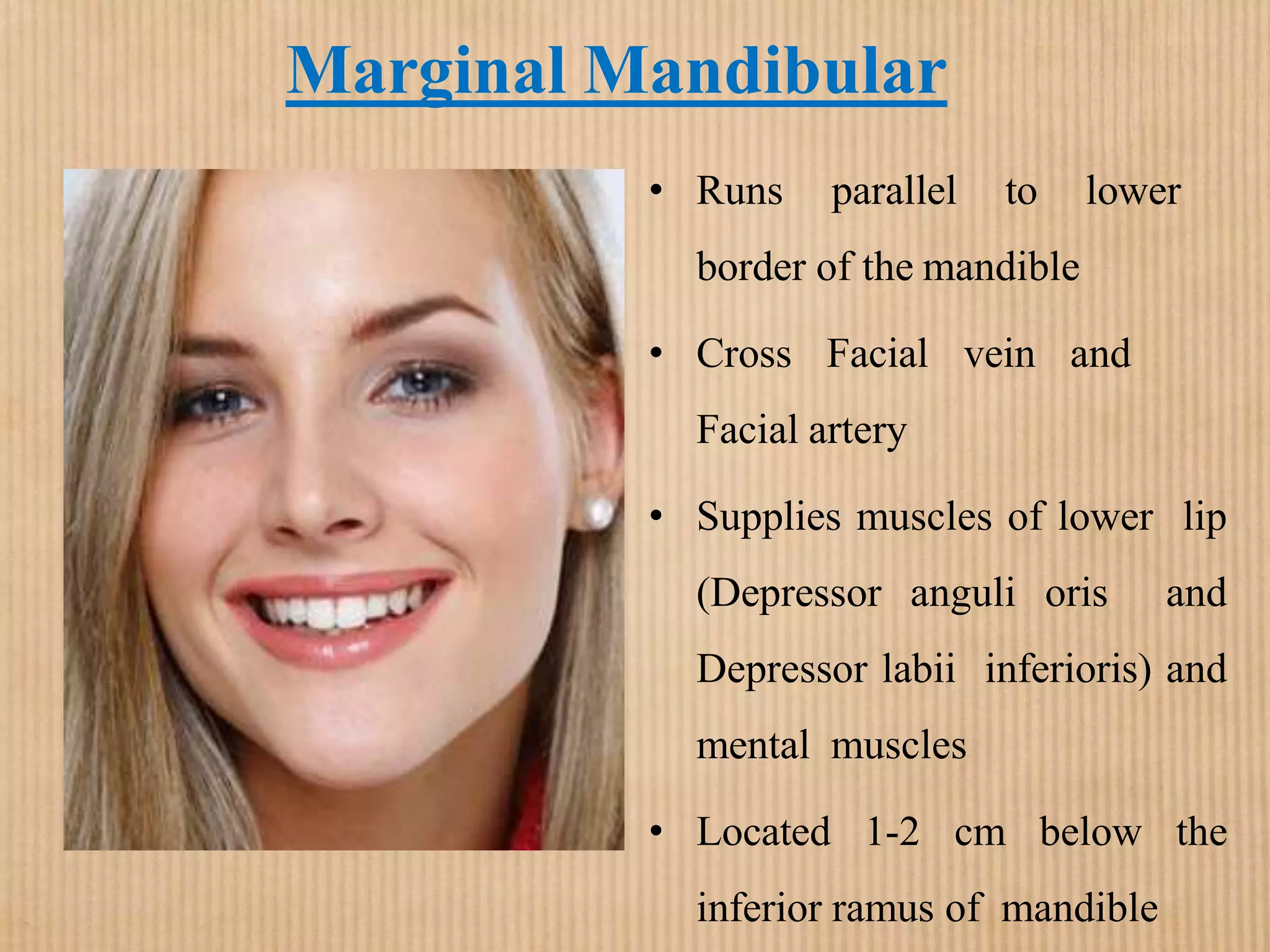 anatomy of facial nerve by tejpl singh.pptx