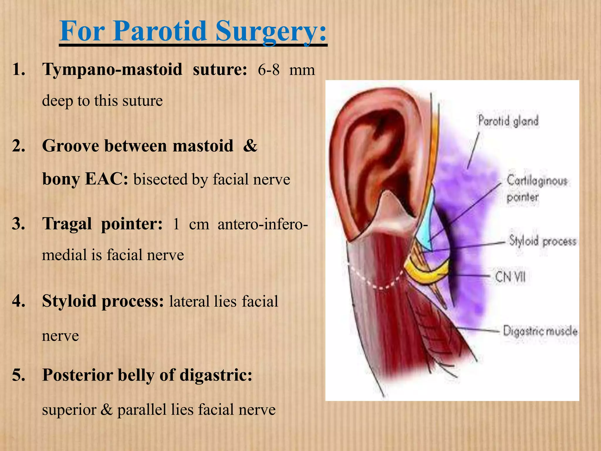 anatomy of facial nerve by tejpl singh.pptx