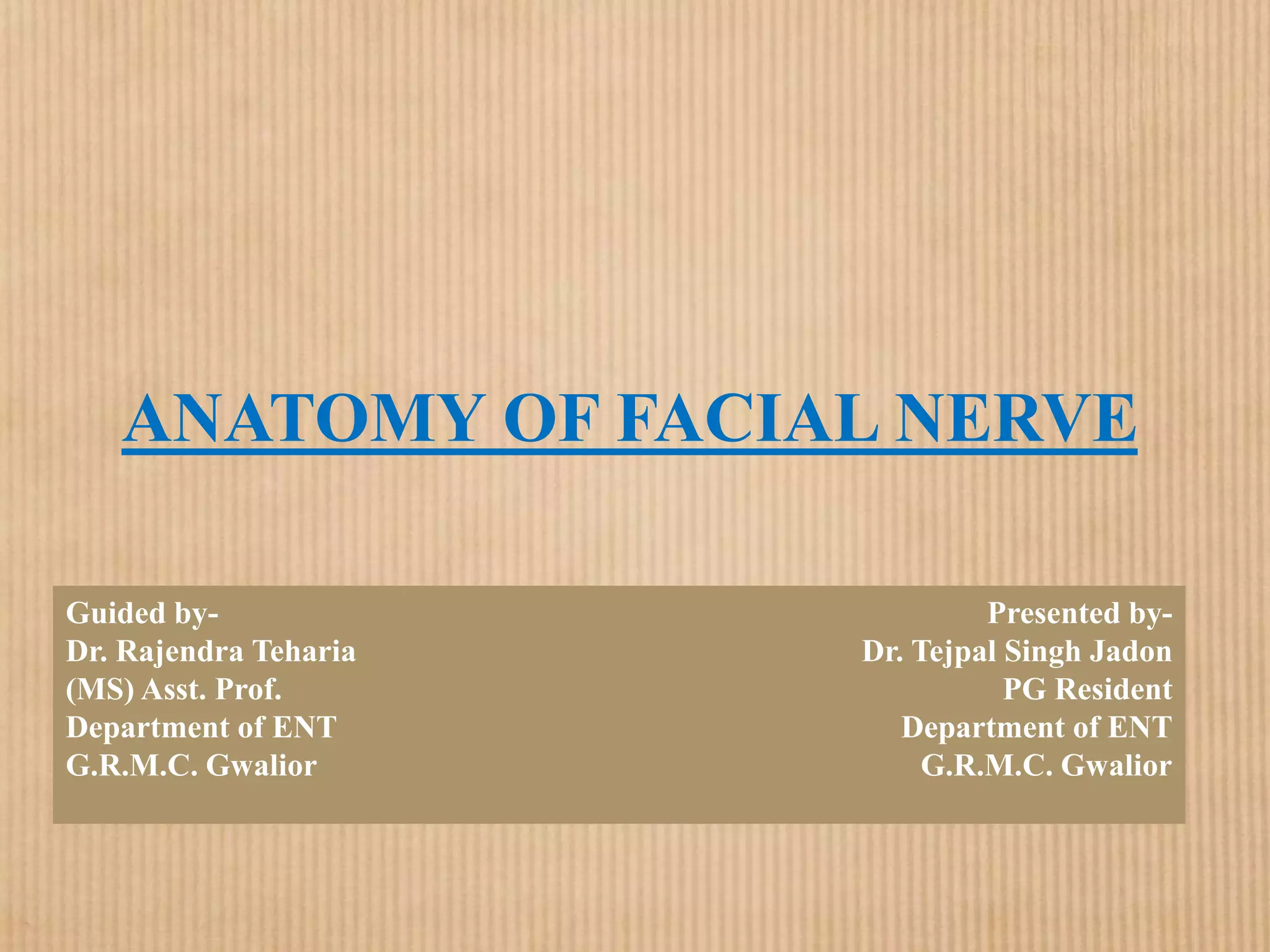 Anatomy of Facial Nerve Guide | PPT