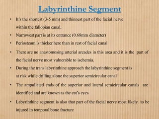 anatomy of facial nerve by tejpl singh.pptx