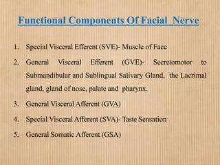 anatomy of facial nerve by tejpl singh.pptx