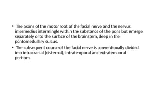 ANATOMY OF FACIAL NERVE edidteeed-1.pptx