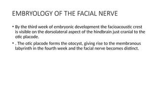 ANATOMY OF FACIAL NERVE edidteeed-1.pptx