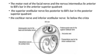 ANATOMY OF FACIAL NERVE edidteeed-1.pptx