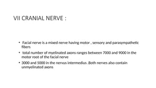 ANATOMY OF FACIAL NERVE edidteeed-1.pptx