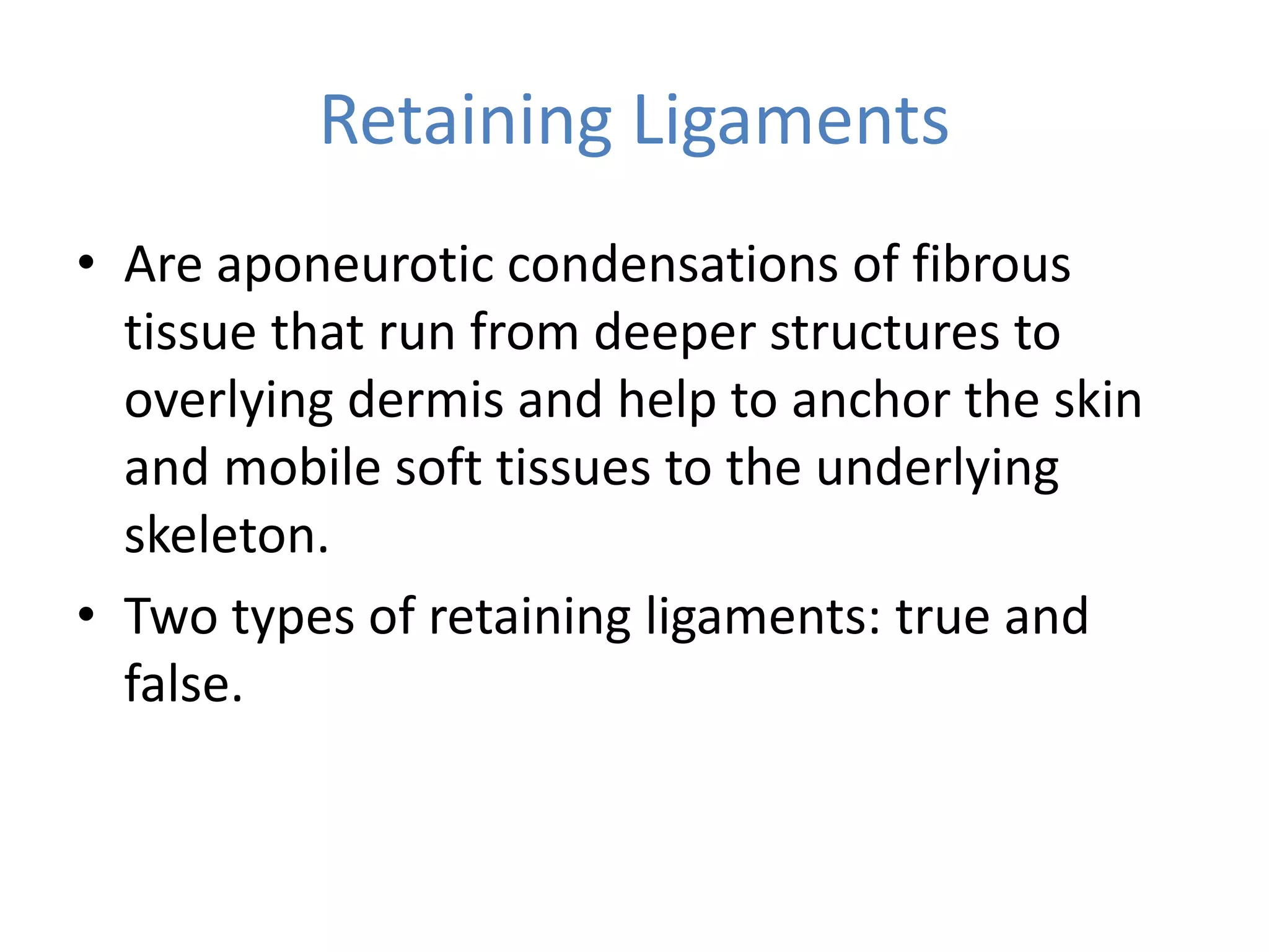 Anatomy of Facial Retinacula.ppt