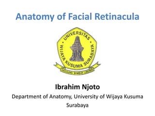 Anatomy of Facial Retinacula.ppt