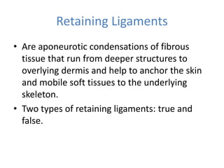 Anatomy of Facial Retinacula.ppt