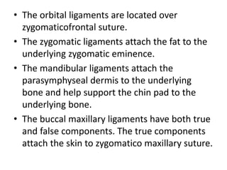 Anatomy of Facial Retinacula.ppt