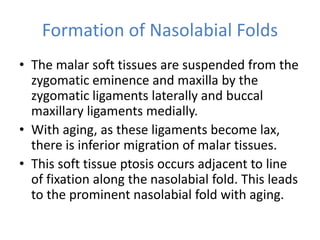 Anatomy of Facial Retinacula.ppt