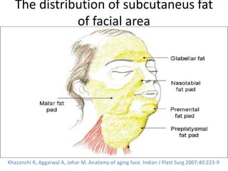 Anatomy of Facial Retinacula.ppt