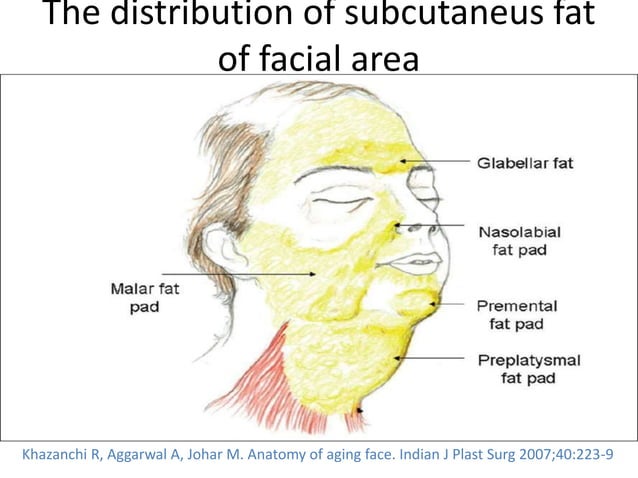 Anatomy of Facial Retinacula.ppt