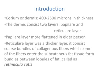 Anatomy of Facial Retinacula.ppt