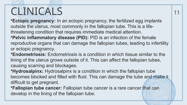 Anatomy of Fallopian Tubes Explained.pptx