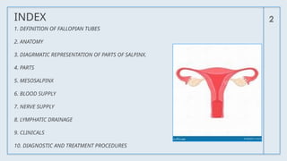Anatomy of Fallopian Tubes Explained.pptx