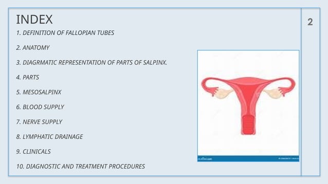 Anatomy of Fallopian Tubes Explained.pptx