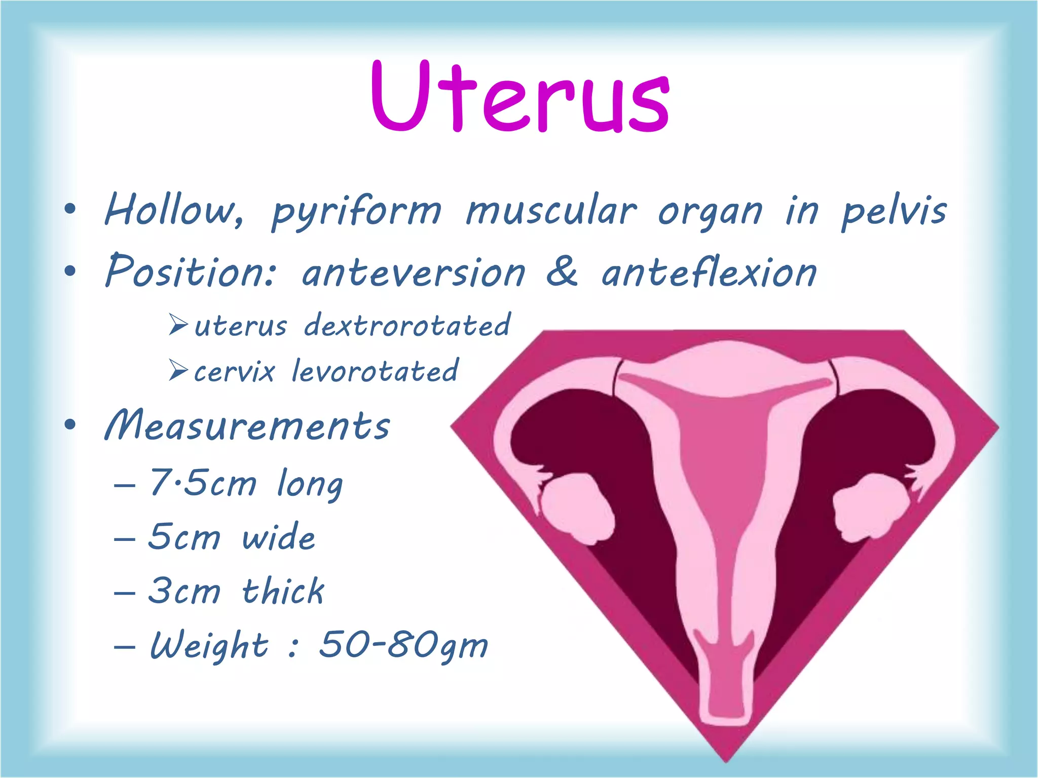 Anatomy of female genitalia | PPTX