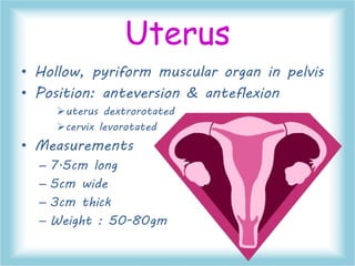 Anatomy of female genitalia | PPTX