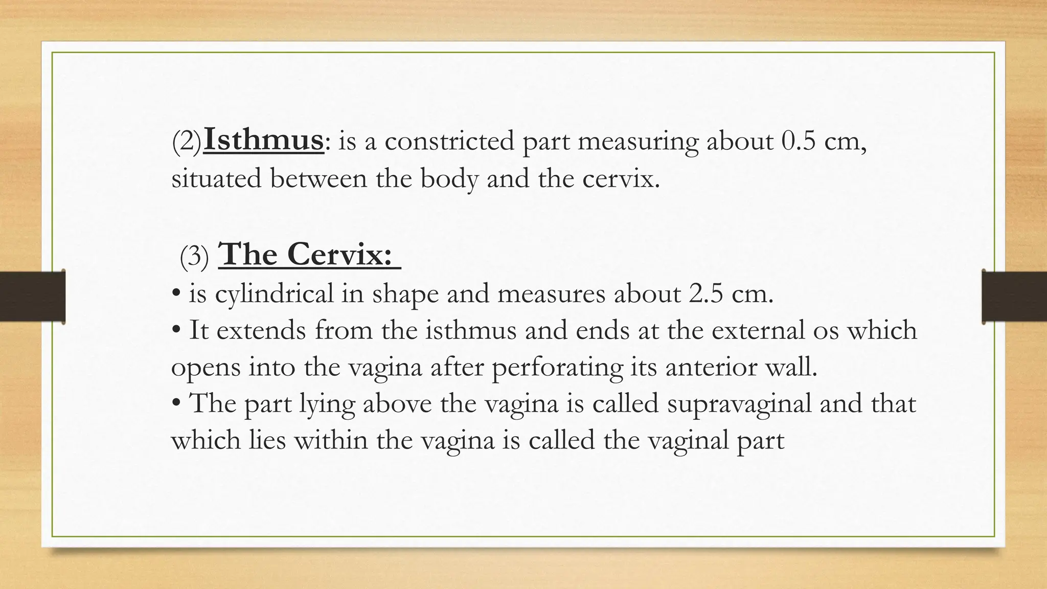 ANATOMY OF FEMALE GENITAL ORGANS ppt of final year | PPTX
