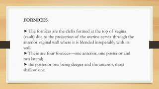 ANATOMY OF FEMALE GENITAL ORGANS ppt of final year | PPTX