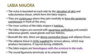 ANATOMY OF FEMALE GENITAL SYSTEM (gyne).pptx