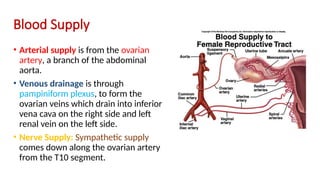 ANATOMY OF FEMALE GENITAL SYSTEM (gyne).pptx