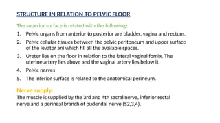 ANATOMY OF FEMALE GENITAL SYSTEM (gyne).pptx