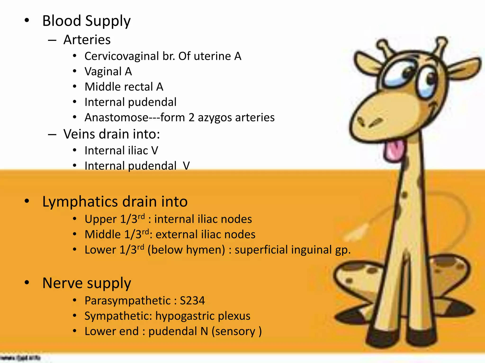 Anatomy of female genital tract | PPTX