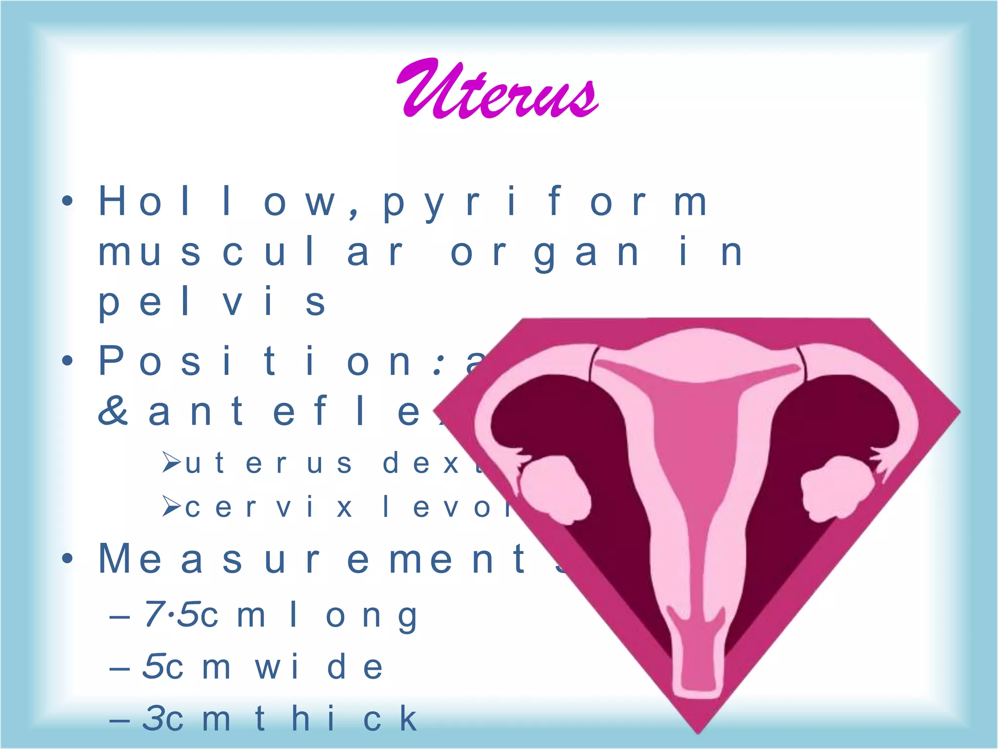 Anatomy of female genital tract | PPTX