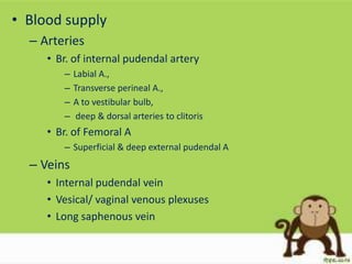 Anatomy of female genital tract | PPTX
